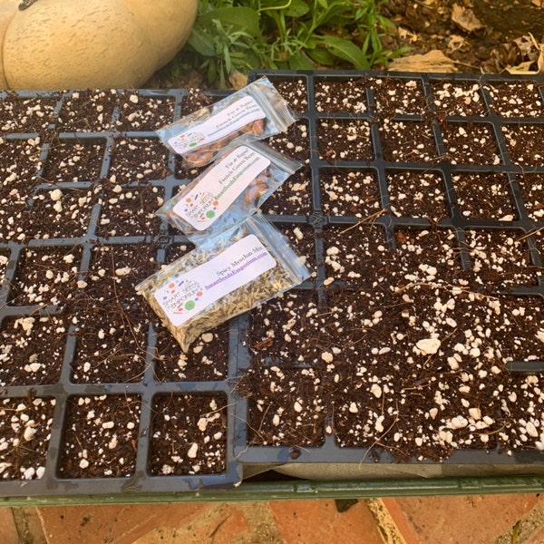 French Green Beans, Fin De Bagnol, 15 Seeds Certified Organic, French ...