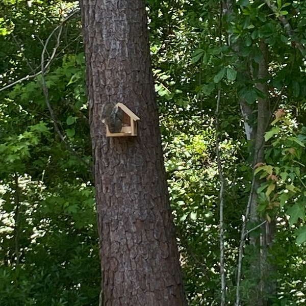 Squirrel House With Predator Guard - Etsy