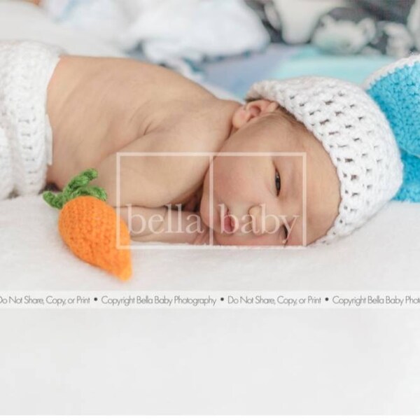 Wombat Amigurumi Plush Animal, Desk Ornament, Amigurumi Stuffy - Etsy