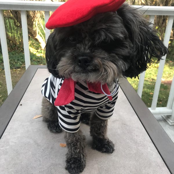 French Look Outfit Set - Pet Beret Hat, Red Scarf, Black White Striped ...