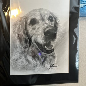 Custom Pet Portrait Charcoal Custom Dog Portrait Pet - Etsy