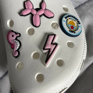 Blue Croc Charms 30 Charm Signs Symbols Phrases Pin Badge Sign Crab ...