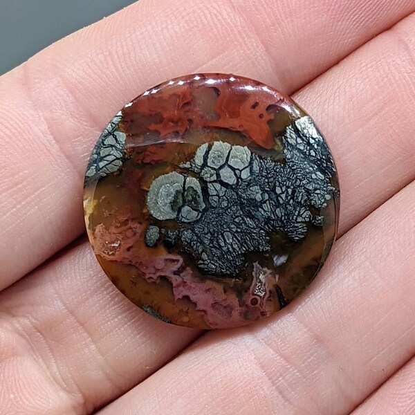 Tiger Jasper Earring Pair - Etsy