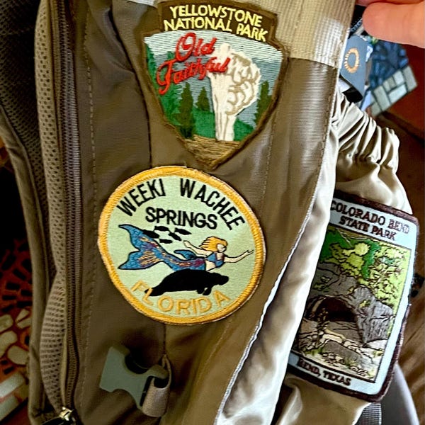 Sea Turtle Patch, Turtle, Ocean, Patches for Jackets, Beach, Tropical ...