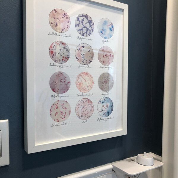 Microbe Collection, Bacteria, Bacteria Art, Science, Science Art ...