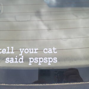 Scaredy Cat Funny Car Vinyl Decal Sticker - Etsy