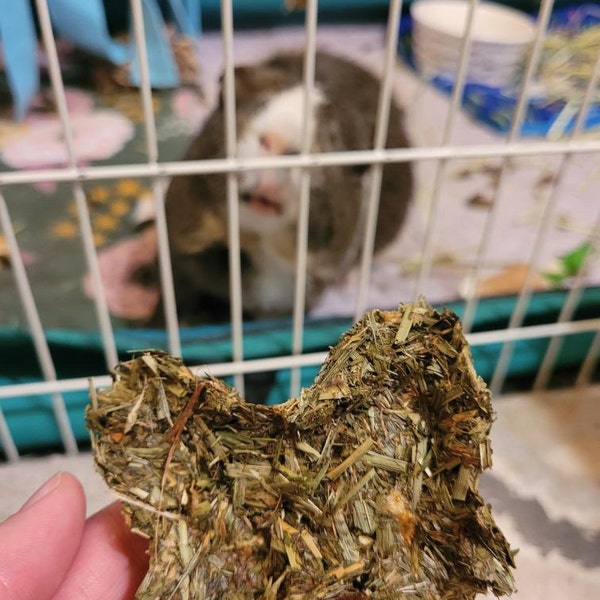 NEW! Mystery Box | for Guinea Pigs and Rabbits | Oat Free, Natrual ...