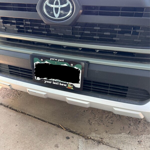 Blue Beep Beep Frog Front License Plate, Funny Vanity Plate, Kawaii ...