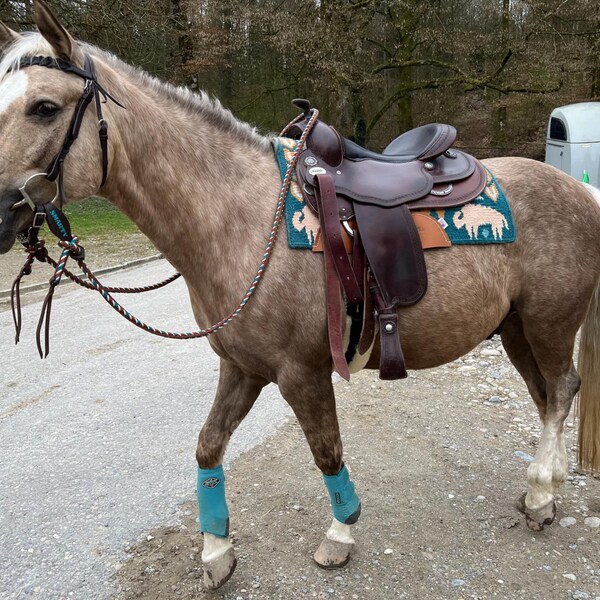 Paracord Loop Reins, 9 Ft. Length, Leather Water Tie End, Attaches to ...