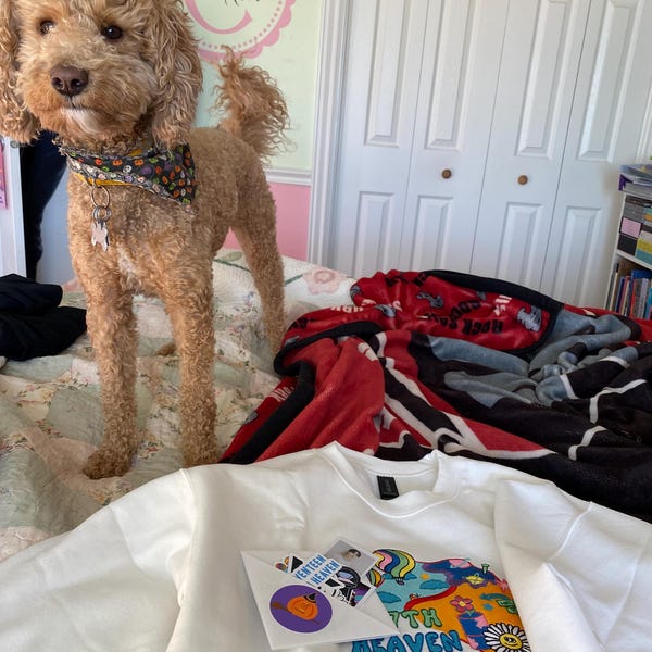 Dream "glitch Mode" Kpop Embroidery Merch - Etsy