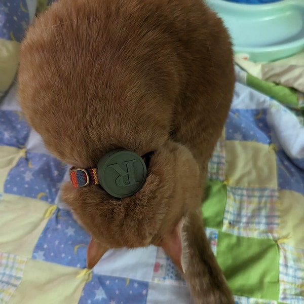 Personalized Tile Sticker Collar Case, Customized Collar Case for Tile ...