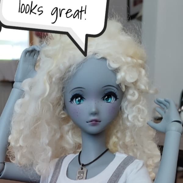 BJD 1/3 SD Alpaca Brown/ombre Wig for Head Size Circumference 22-23cm ...