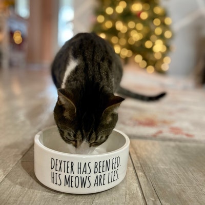 Funny Cat Food Bowl, Ceramic Pet Bowl - Etsy