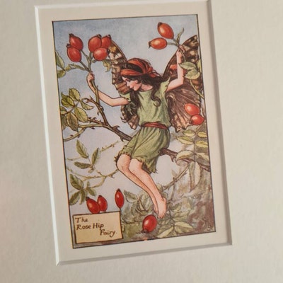 Laburnum Flower Tree Fairy Vintage Print CICELY MARY BARKER - Etsy