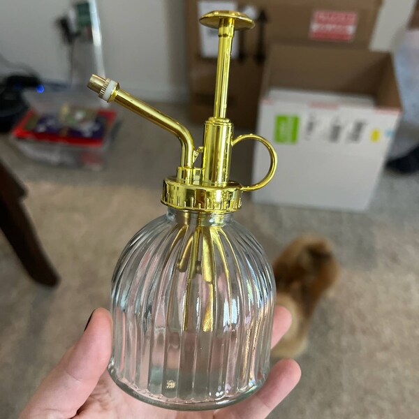 Plant Mister, Plant Spritzer, Vintage Plant Mister, Glass Plant Mister ...