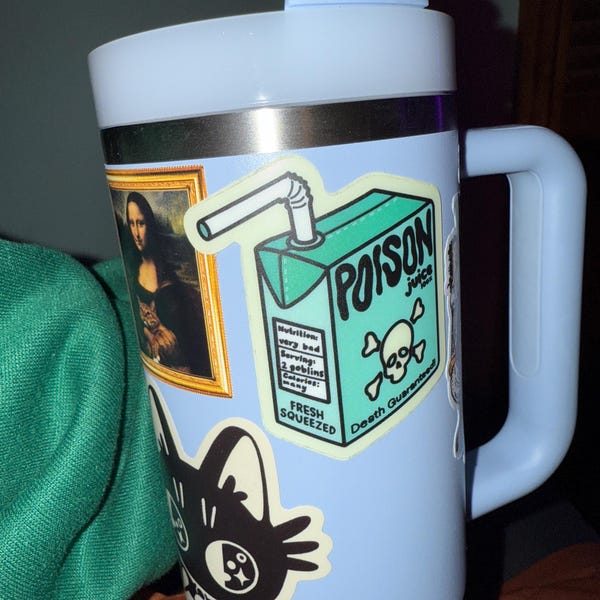 I KNOW THE END Sticker ~ Skeleton Phoebe Bridgers Punisher Sticker ...