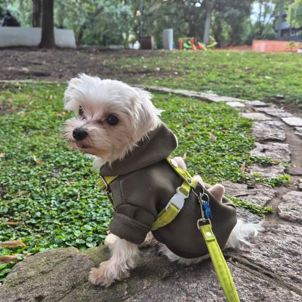 Prom Dress Sewing Pattern| Backless Dress Pattern| Midi Dress Pattern ...