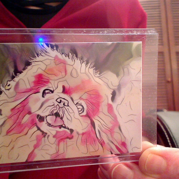 Poppy Dog Lace Style Digital Art Print Animal Art for Animal Lovers ...