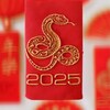 2025 Year of the Snake Lunar Chinese New Year Daruma Snake Cookie ...