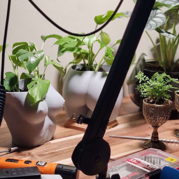 Booty Planter and Boob Hanging Planter With Harness - Etsy