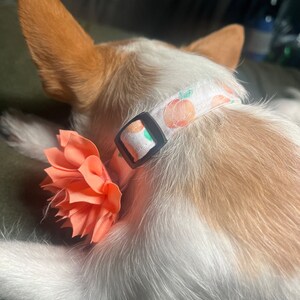 Reindeer Dog Collar Embellishment Christmas Dog Collar - Etsy