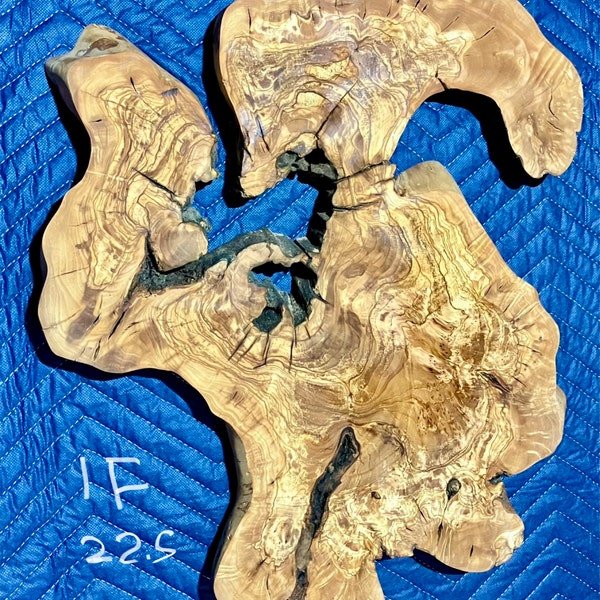 Large Olive Tree Root Sheet , Live Edge Root Slice With Which You Can ...