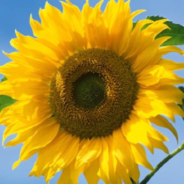 Same Day GENERAL PSYCHIC Audio READING Channeling Spirit Guide Message ...