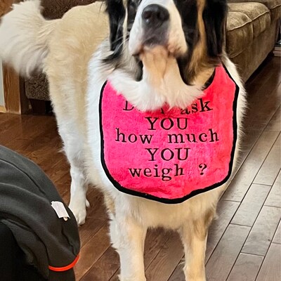 Dog Bib large Drool Bib Slobber Dog Bib Newfoundland Dog - Etsy UK