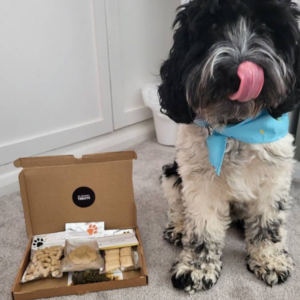 Letterbox Dog Treat Box: Gourmet Puppy Dog Gift With Free UK Delivery ...