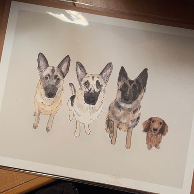 Sheepadoodle Illustration / Doodle Dog Drawing / Pet Lovers Gift / Life ...