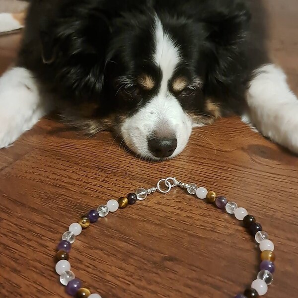 Custom Dog Collar, Crystal Cat Collar, Crescent Moon, Reiki Jewelry ...