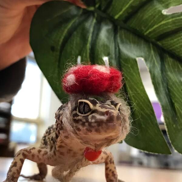 Leopard Gecko and Other Lizard Hats - Etsy