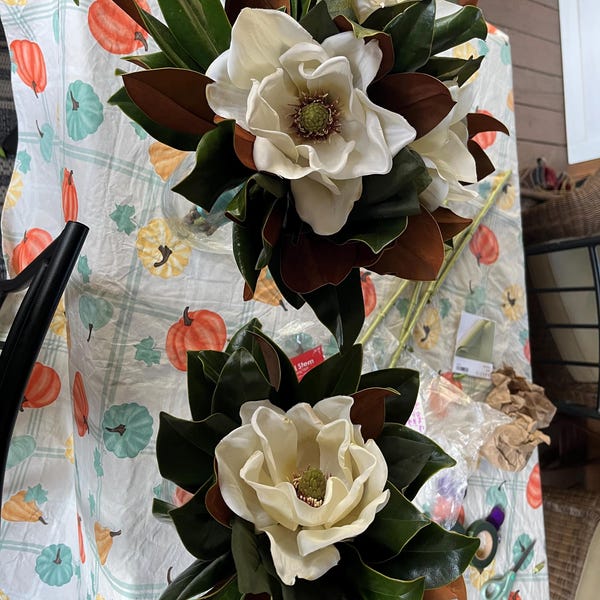 Fresh Bundle of Southern Magnolia Branches -live, Extra Large Leaves ...