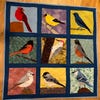 Blue Jay, American Robin, Chickadee, Cardinal Fpp----backyard Birds Series--midwest Region ...
