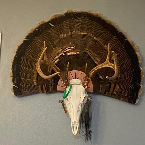 Shed Antler Mount Hanger - Etsy