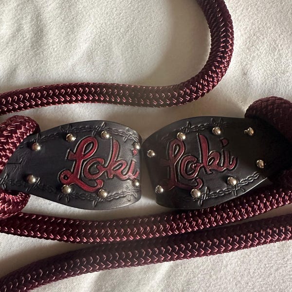 Mecate Reins & Slobber Straps - Custom Made to Order With Personalized ...