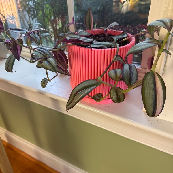 Mid-century Modern Rib Planter Pot With Drainage and Saucer, Unique ...