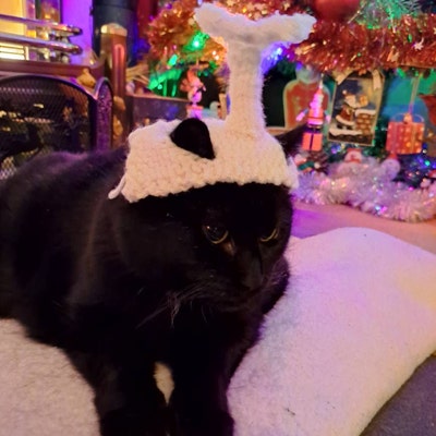 MATCHING SET Hand Knitted Strawberry Cat Hat With 2 Matching Hats for ...