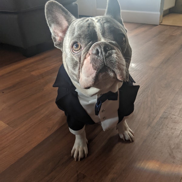 Navy Blue Dog Tuxedo With Light Blue Bow Tie Bespoke Dog Tux Dog Wedding Attire Formal Dog Suit ...