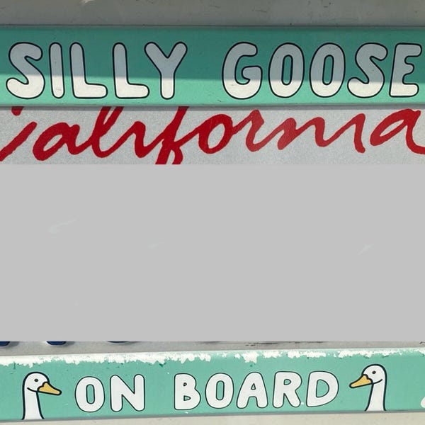 Silly Goose on Board Funny Gen Z Meme License Plate Frame - Etsy