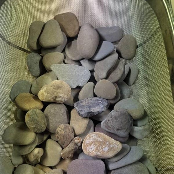 6 Medium Flat Rocks 4-6inch - Perfect for Painting, Gardening & Crafts ...