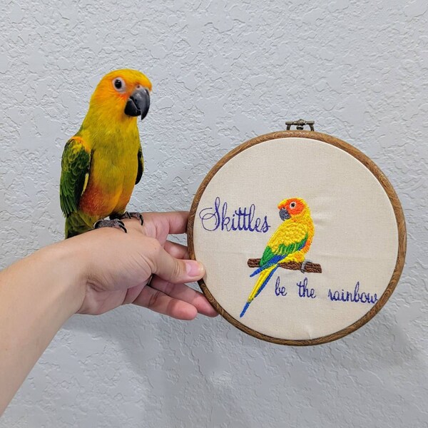 Blue-crowned Conure, 4x4, Conure, Parrot, Machine Embroidery Design ...