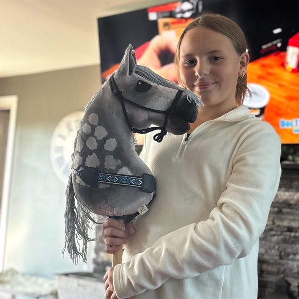 DAPPLE GREY Hobby Horse Pony HANDPAINTED - Etsy