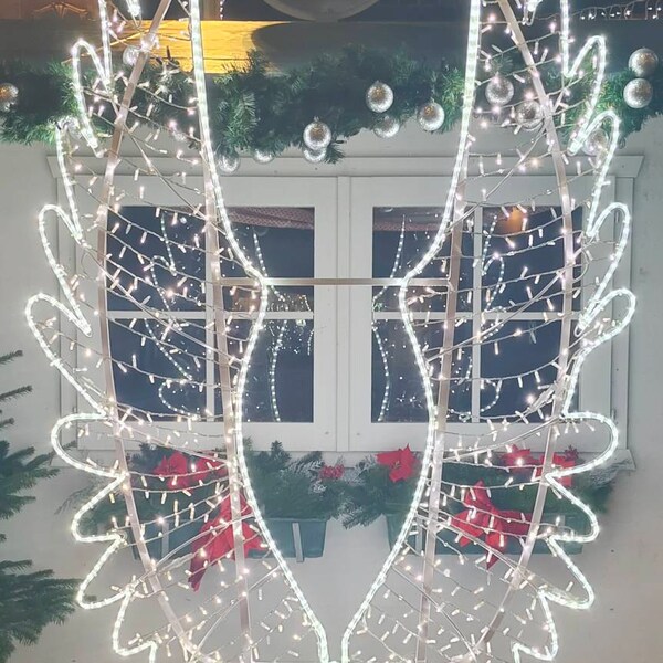 True Ceylon Cinnamon Irregular Shapes Pure 85g(3 Oz) - 1.95KG(68.8 Oz ...