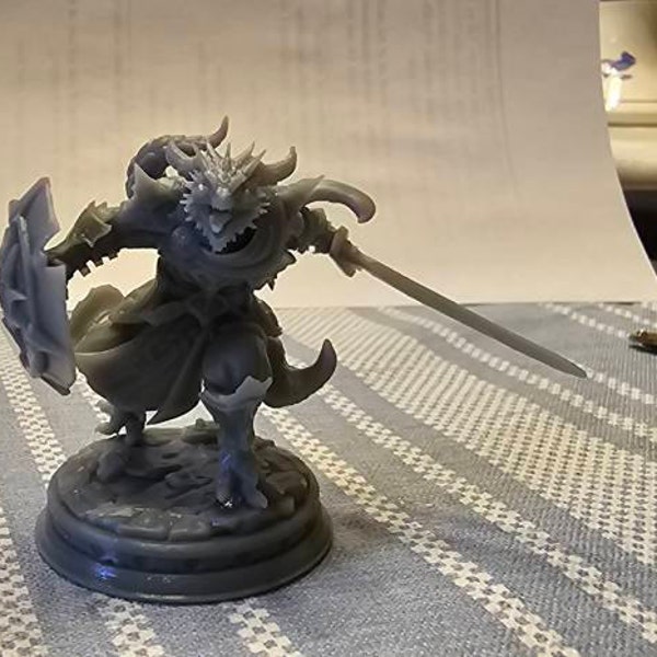 Valkyrie's Revenge Miniature | Tabletop RPG Miniature | Creature Armory ...