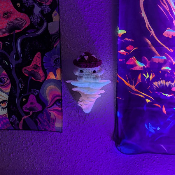 Glow in the Dark Floating Coral Shelf Large “montipora Capricornis ...