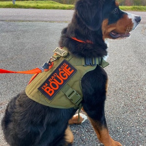 RUGGED TOUGH Tactical 2 Inch Name Tape With Hook Fastener Sewn to Back ...