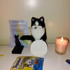 Cat Loss Memorial, Custom Stuffed Pet of Your Dog Cat, Handmade Pet ...
