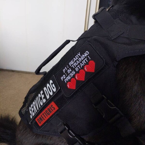 Patch IN TRAINING Patch for Working Dog in Training Iron-on, Sew-on or ...