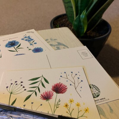 Mystery Pack Postcards Set of 10 Random Selection Multipack Art ...